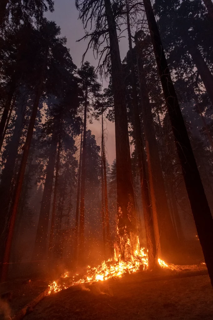 Windy Fire Destroys 28 Buildings Eastern Sierra Now | Local News