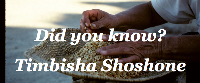 Did you know? The Timbisha Shoshone Eastern Sierra Now | Local News