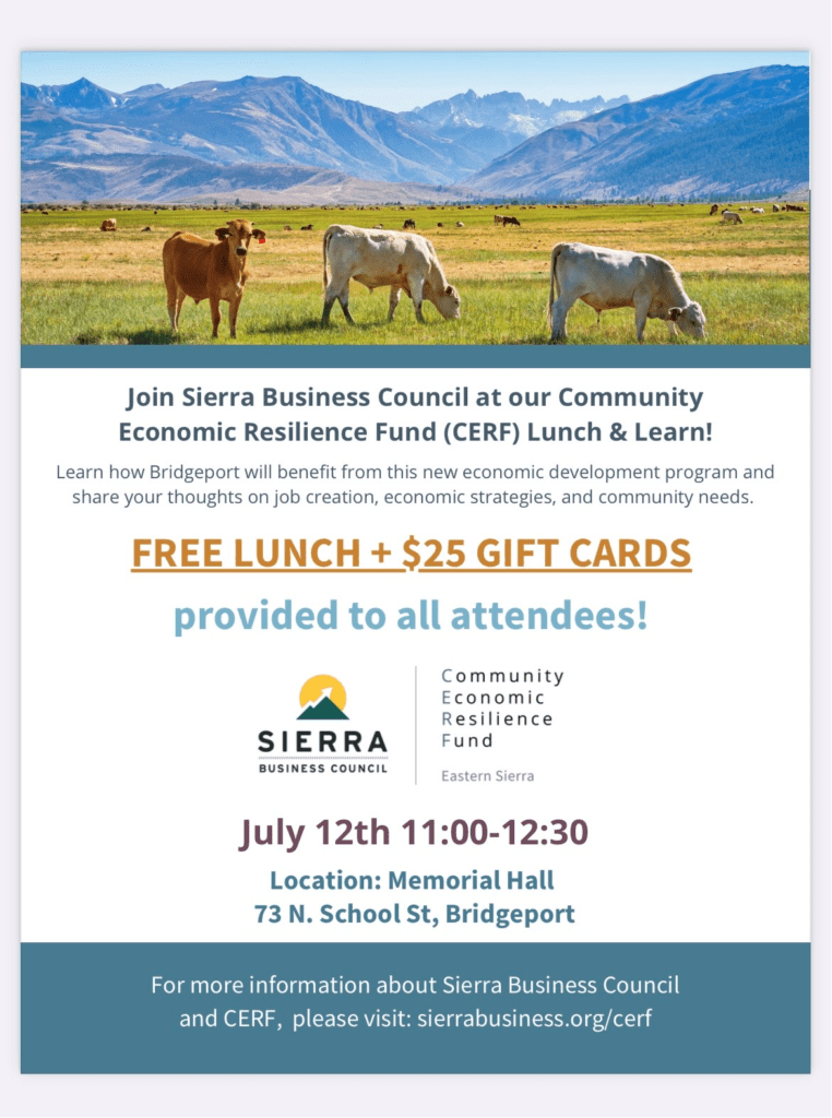 Sierra Business Council Community Economic Resilience Fund Lunch ...