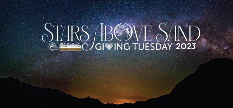 DVNHA Stars Above Sand: Giving Tuesday 2023 Eastern Sierra Now | Local News