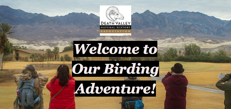 DVNHA: Welcome to Our Birding Adventure! Eastern Sierra Now | Local News