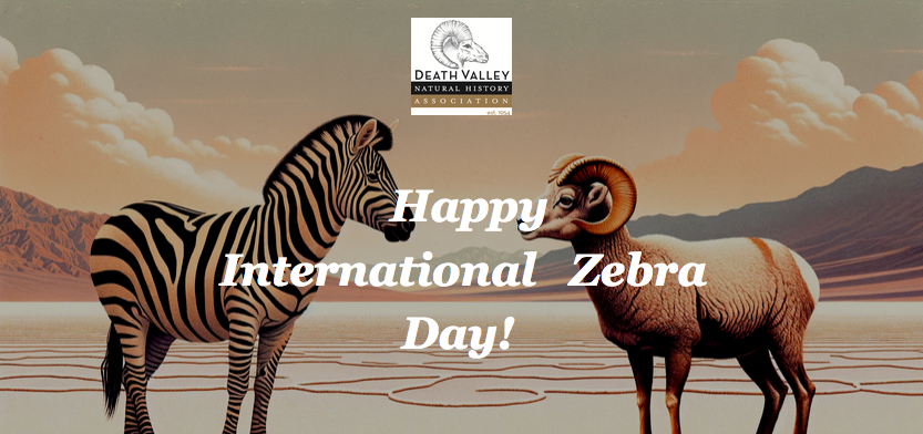 Happy International Zebra Day from Death Valley Natural History ...