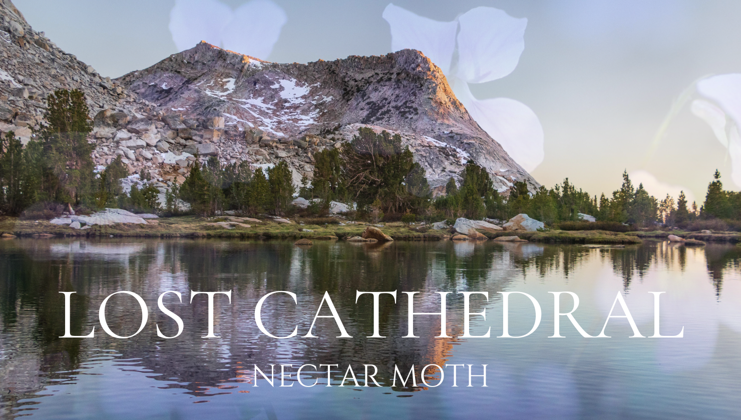 Nectar Moth’s Miracle Single "Lost Cathedral" Invokes Beauty of Nature ...