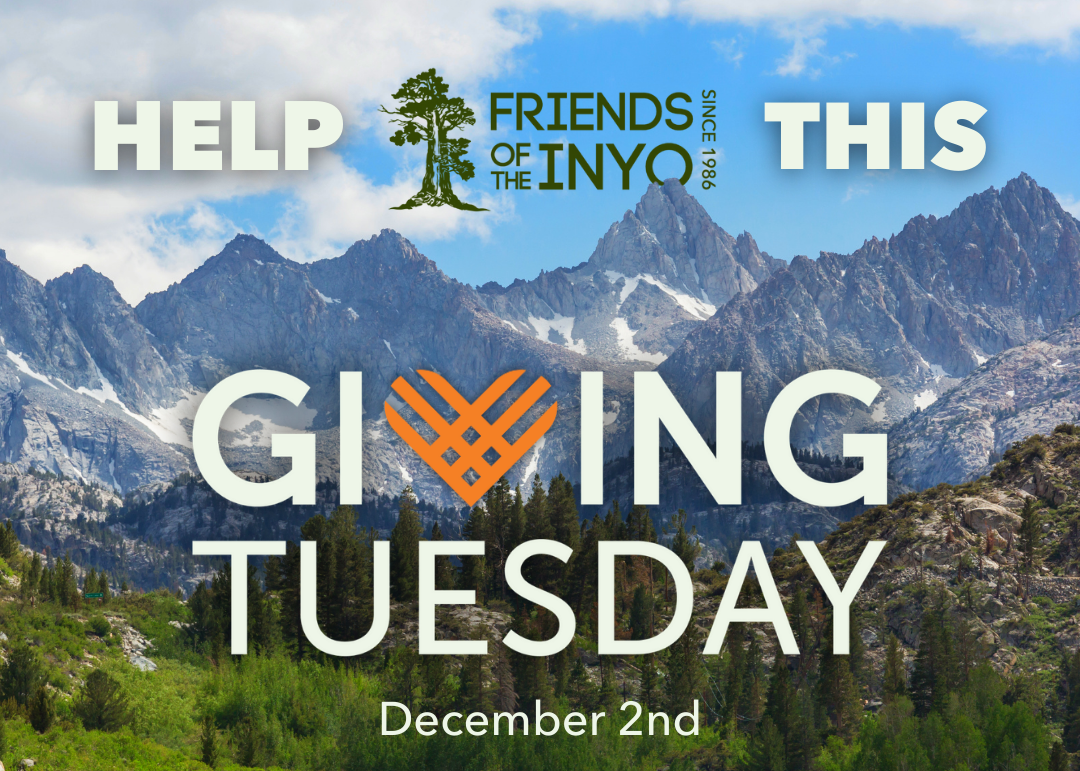 This Giving Tuesday - Help Us Protect and Care for the Eastern Sierra ...