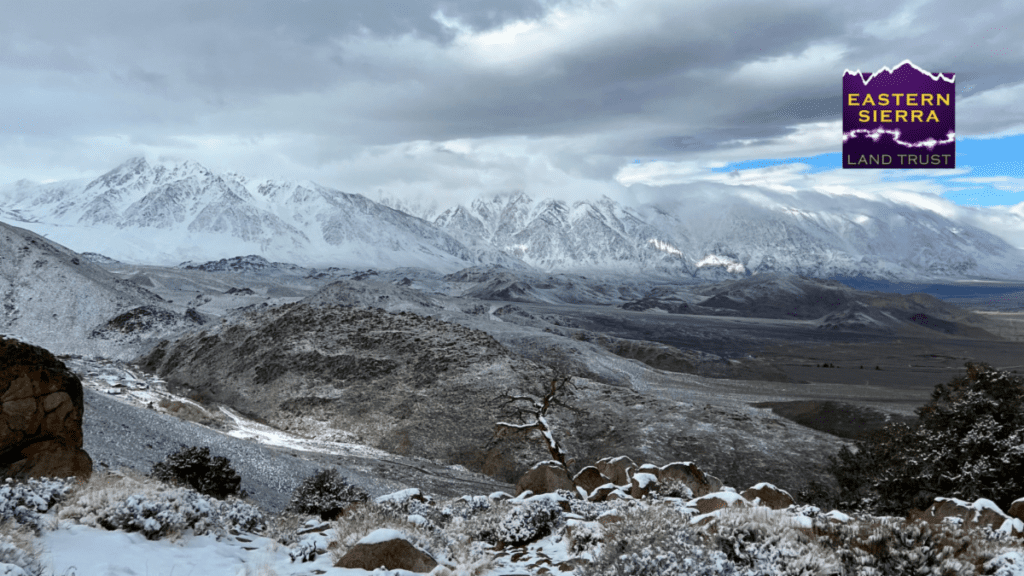 Growing food on the land you love Eastern Sierra Now | Local News