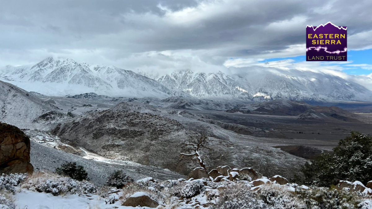 Growing food on the land you love Eastern Sierra Now | Local News
