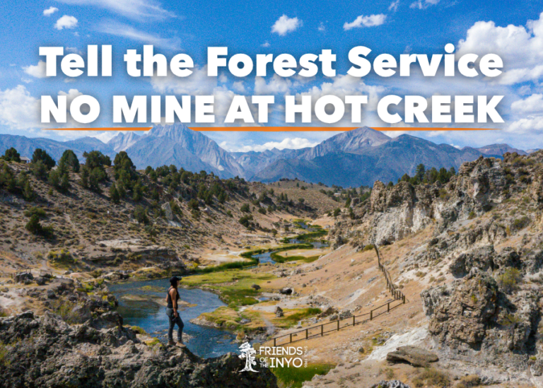 Friends of the Inyo Action Alert: Protect Hot Creek Eastern Sierra Now ...